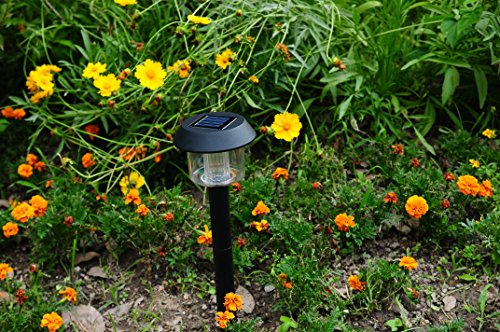 Solario Garden Decor Solar Powered Stake Lights- Pack of 6- Decorative Classic Lamps- Highest Lumen LED Brighter Than Standard- Superior Monocrystalline Panel (Black)