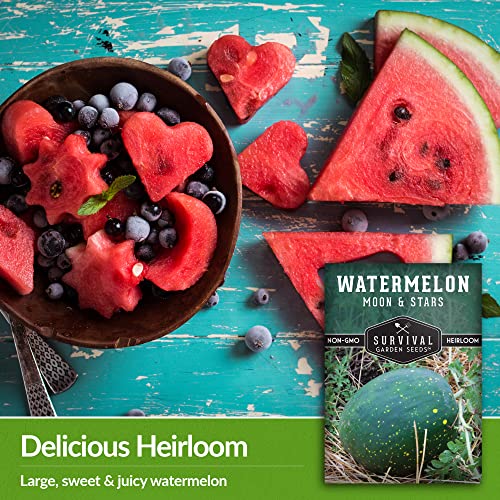 Survival Garden Seeds - Moon & Stars Watermelon Seed for Planting - Packet with Instructions to Plant and Grow Melons in Your Home Vegetable Garden - Rare Super Sweet Non-GMO Heirloom Variety