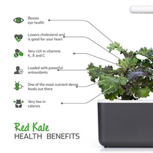 Click and Grow Smart Garden Red Kale Plant Pods, 3-Pack