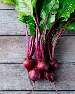 tke farms – detriot dark red beet seeds for planting, 3 grams ≈ 125 seeds, beta vulgaris