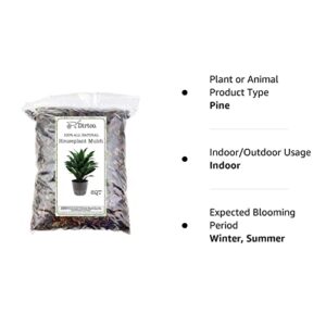 Houseplant Mulch - Small bark Wood Chips for Indoor, Patio, Potting Media, and Much More! (8QTs)