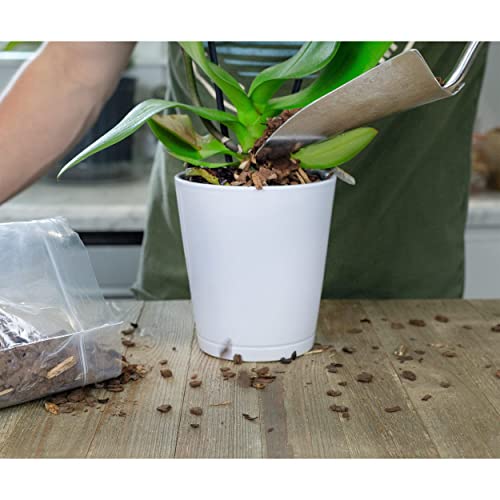 Houseplant Mulch - Small bark Wood Chips for Indoor, Patio, Potting Media, and Much More! (8QTs)