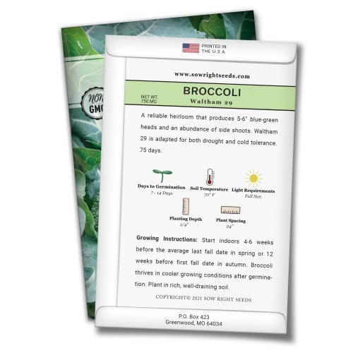 Sow Right Seeds - Broccoli Seed Collection for Planting - Individual Packets Broccoli Di Ciccio, Romanesco, and Waltham 29 Non-GMO Heirloom Seeds to Plant an Outdoor Home Vegetable Garden