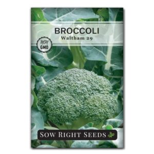 Sow Right Seeds - Broccoli Seed Collection for Planting - Individual Packets Broccoli Di Ciccio, Romanesco, and Waltham 29 Non-GMO Heirloom Seeds to Plant an Outdoor Home Vegetable Garden