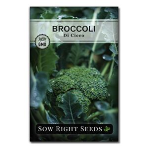 Sow Right Seeds - Broccoli Seed Collection for Planting - Individual Packets Broccoli Di Ciccio, Romanesco, and Waltham 29 Non-GMO Heirloom Seeds to Plant an Outdoor Home Vegetable Garden