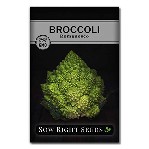 Sow Right Seeds - Broccoli Seed Collection for Planting - Individual Packets Broccoli Di Ciccio, Romanesco, and Waltham 29 Non-GMO Heirloom Seeds to Plant an Outdoor Home Vegetable Garden