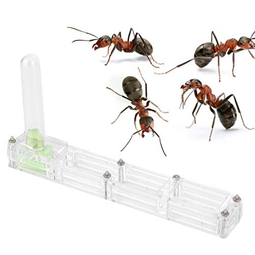 Acrylic Ant Farm, Ant Breeding Box, Durable Easy to Install with Water Tower Moisturizing for Ant for Insect Garden School Household(Transparent nest)