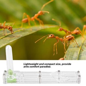 Acrylic Ant Farm, Ant Breeding Box, Durable Easy to Install with Water Tower Moisturizing for Ant for Insect Garden School Household(Transparent nest)