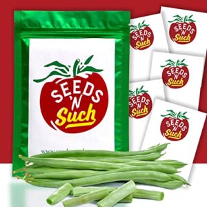 seeds n such 1310 hand selected spring vegetable garden seeds | includes 5 individually packaged seeds tomatoes, blue beans, cucumbers, lettuce & peppers | untreated & non-gmo