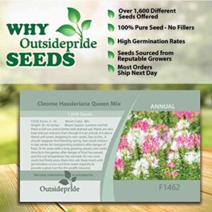 Outsidepride Cleome Garden Cut Flower Seed Mix - 1000 Seeds