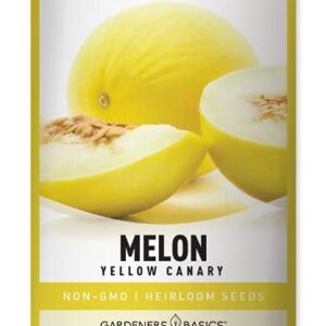 Yellow Canary Melon Seeds for Planting Heirloom, Non-GMO Vegetable Variety- 2 Grams Seed Great for Summer Melon Gardens by Gardeners Basics