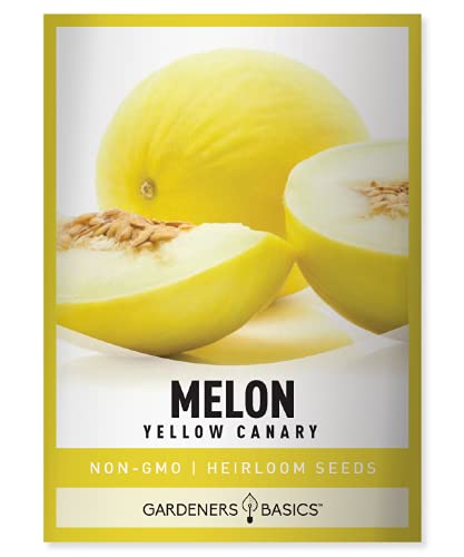 Yellow Canary Melon Seeds for Planting Heirloom, Non-GMO Vegetable Variety- 2 Grams Seed Great for Summer Melon Gardens by Gardeners Basics