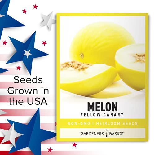 Yellow Canary Melon Seeds for Planting Heirloom, Non-GMO Vegetable Variety- 2 Grams Seed Great for Summer Melon Gardens by Gardeners Basics