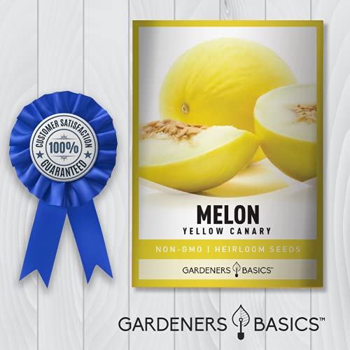 Yellow Canary Melon Seeds for Planting Heirloom, Non-GMO Vegetable Variety- 2 Grams Seed Great for Summer Melon Gardens by Gardeners Basics