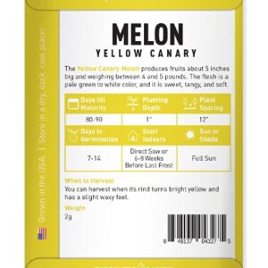 Yellow Canary Melon Seeds for Planting Heirloom, Non-GMO Vegetable Variety- 2 Grams Seed Great for Summer Melon Gardens by Gardeners Basics