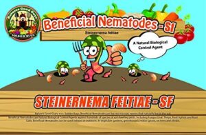 naturesgoodguys – beneficial nematodes steinernema feltiae – sf (50 million)