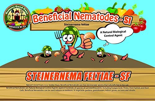 NaturesGoodGuys - Beneficial Nematodes Steinernema Feltiae - SF (50 Million)