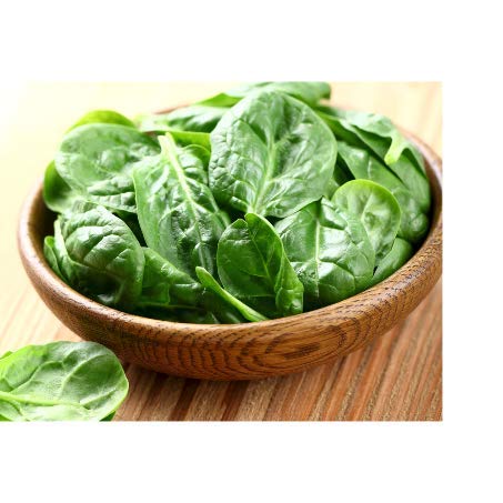 David's Garden Seeds Spinach Bloomsdale Long Standing FBA-6711 (Green) 200 Non-GMO, Heirloom Seeds