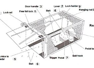 H&B Luxuries Rat Trap - Humane Live Animal Cage for Rat Mouse Hamster Mole Weasel Gopher Chipmunk Squirrels and More Rodents (Small)