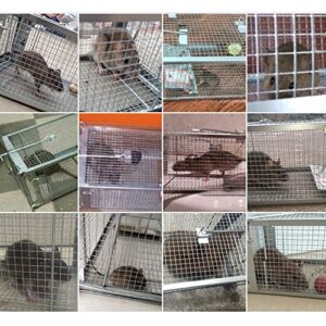 H&B Luxuries Rat Trap - Humane Live Animal Cage for Rat Mouse Hamster Mole Weasel Gopher Chipmunk Squirrels and More Rodents (Small)