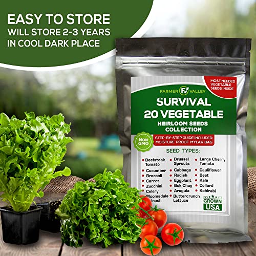 20 Heirloom Vegetable Seeds for Planting - 100% Non GMO - Most Popular Garden Vegetable Seeds Variety Pack - Cucumber, Carrot, Broccoli, Radish, Kale, Zucchini, Cabbage, Beet, Arugula, Celery and More