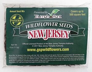 garden state parkway wildflower seeds – annuals – attracts birds and butterflies