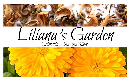 Flower Seeds - Calendula - Bon Bon Yellow - Annual - Saffron Replacement - Liliana's Garden