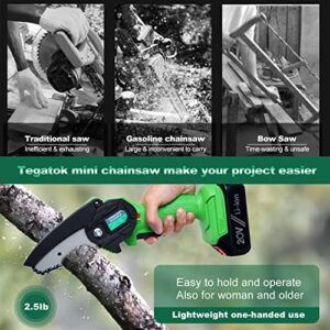 Tegatok Cordless Mini Chainsaw 4-inch, Mini Chainsaw with Battery and Charger, Handheld Small Chainsaw with Safety Lock, Portable Power Chain Saws for Trimming Tree Branches and Cutting Wood