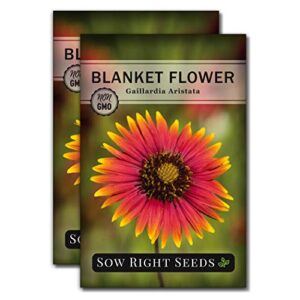 sow right seeds – blanket flower seeds to plant – full instructions for planting and growing a flower garden; non-gmo heirloom seeds; wonderful gardening gift (2)