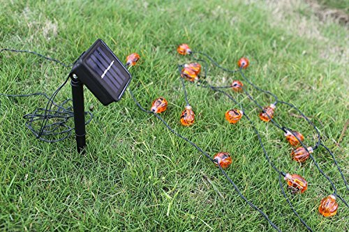 YBB Solar Pumpkin String Lights, Waterproof Halloween Christmas Decoration String Lights, 30 LED Lights Twinkling/Steady on Modes Jack-O-Lantern for Outdoor, Home, Patio, Garden (7m/22ft Warm White)