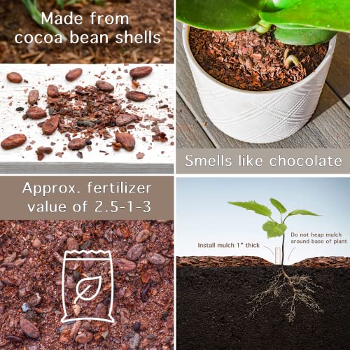 Organic Cocoa Bean Shell Mulch - Made from Cocoa Hulls - for Potted Plants, Flower beds, Gardens (8 Quarts)