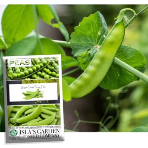 sugar snap snow pea seeds for planting, 50+ heirloom seeds per packet, (isla’s garden seeds), non gmo seeds, botanical name: pisum sativum ‘macrocarpon group’, great home garden gift