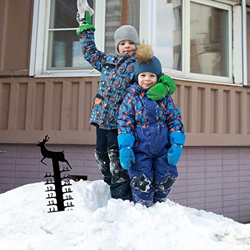 Gift 24cm Snowflake Snow Measuring Instrument Snowmobile Snow Measuring Instrument Metal Snow Measuring Ruler Outdoor Garden Ornament Screed Board 22 (Black, One Size)