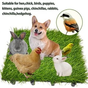 Hamiledyi Chicken Coop Grass Pads, Hen Nest Box Plastic Bedding Mats, Artificial Grass Turf Nesting Liners, Pet Garden Grass Tiles, Synthetic Poultry Bedding Pee Mats for Chickens Hens 6PCS