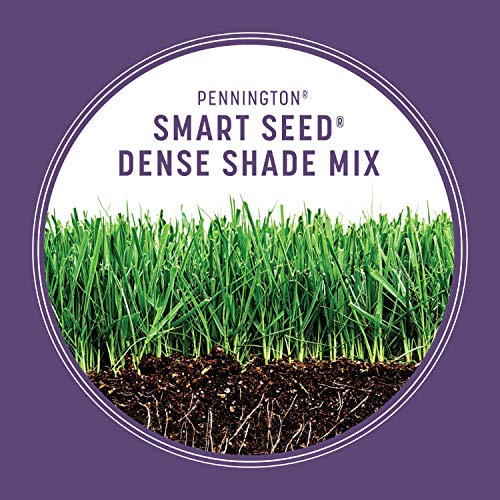 Pennington Smart Seed Dense Shade Grass Mix 7 lb