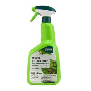 safer brand 5110-6 insect killing soap, 32 oz.