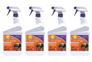 bonide # 883 32 oz fung-onil ready to use garden disease fungicide – quantity 4