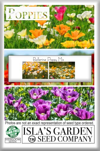 Ballerina California Poppy Mix - California Poppies, 1000+ Flower Seeds Per Packet, (Isla's Garden Seeds), Scientific Name: Eschscholzia californica, 85% Germination Rates, 99.3% Purity