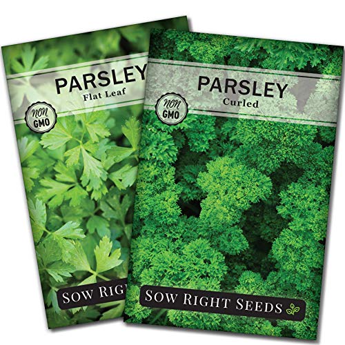 Sow Right Seeds - Flat Leaf and Curly Leaf Parsley Seed Collection for Planting - Non-GMO Heirloom - Instructions to Grow a Kitchen Herb Garden, Indoor or Outdoor - Great Gardening Gift