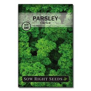 Sow Right Seeds - Flat Leaf and Curly Leaf Parsley Seed Collection for Planting - Non-GMO Heirloom - Instructions to Grow a Kitchen Herb Garden, Indoor or Outdoor - Great Gardening Gift