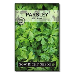 Sow Right Seeds - Flat Leaf and Curly Leaf Parsley Seed Collection for Planting - Non-GMO Heirloom - Instructions to Grow a Kitchen Herb Garden, Indoor or Outdoor - Great Gardening Gift