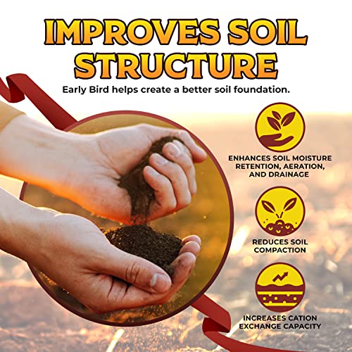 100% Pure Worm Castings Rich in Micro Nutrients - Odor Free Organic Plant Fertilizer for Indoor/Outdoor Use - Helps Reduce Soil Compaction, Improve Soil Aeration, Increase Water Retention, and More