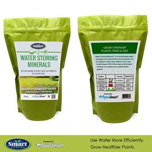 AquaSmart Water Storing Minerals – Fewer Plant Waterings for Indoor Pots and Outdoor Gardens – Self Watering Garden Soil Additive - Natural Non-Toxic Coated Magic Sand for Planters