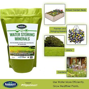 AquaSmart Water Storing Minerals – Fewer Plant Waterings for Indoor Pots and Outdoor Gardens – Self Watering Garden Soil Additive - Natural Non-Toxic Coated Magic Sand for Planters