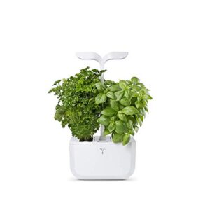 véritable® exky classic (white) – indoor vegetable garden made in france – smart autonomous garden delivered with 2 lingots®