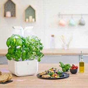 Véritable® EXKY Classic (White) - Indoor Vegetable Garden Made in France - Smart Autonomous Garden Delivered with 2 Lingots®