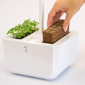 Véritable® EXKY Classic (White) - Indoor Vegetable Garden Made in France - Smart Autonomous Garden Delivered with 2 Lingots®