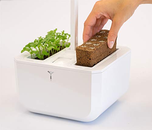 Véritable® EXKY Classic (White) - Indoor Vegetable Garden Made in France - Smart Autonomous Garden Delivered with 2 Lingots®