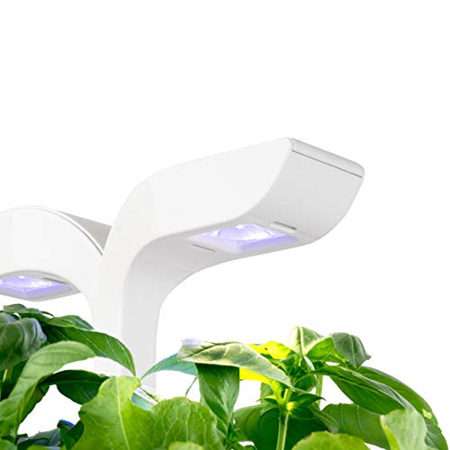 Véritable® EXKY Classic (White) - Indoor Vegetable Garden Made in France - Smart Autonomous Garden Delivered with 2 Lingots®