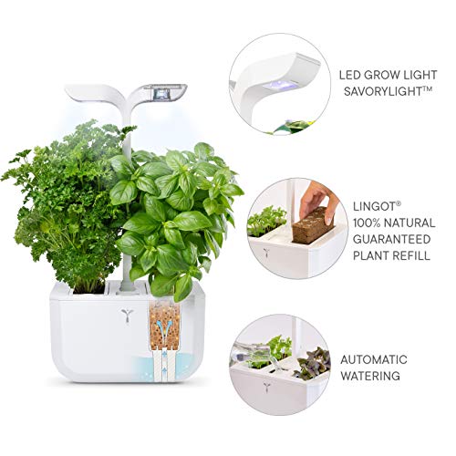 Véritable® EXKY Classic (White) - Indoor Vegetable Garden Made in France - Smart Autonomous Garden Delivered with 2 Lingots®